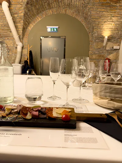 Wine Tasting In Budapest City Centre - 9 Wines + Food